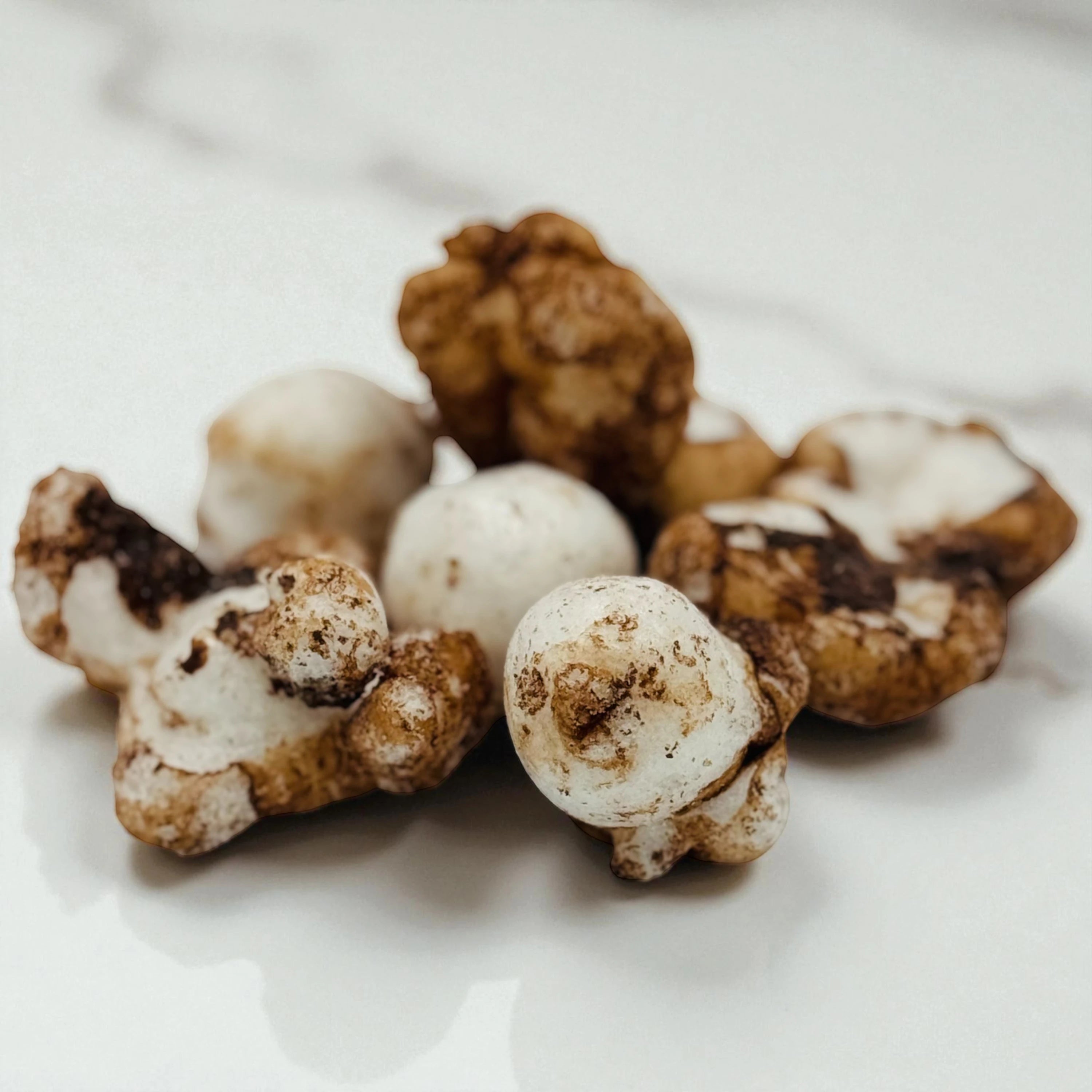 Mint Block - Freeze Dried Candy | Melfmade Munchies